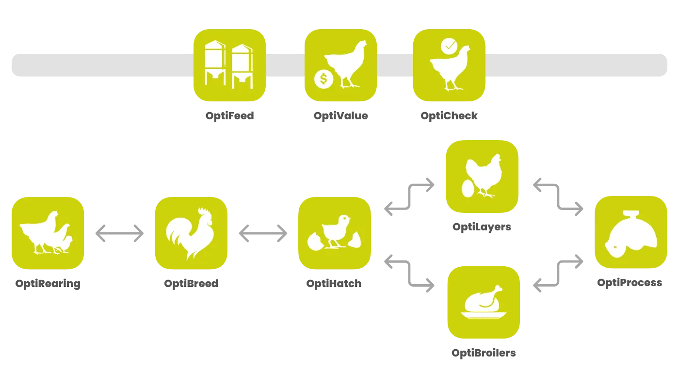 Our Poultry Software Solutions | PoultryPlan